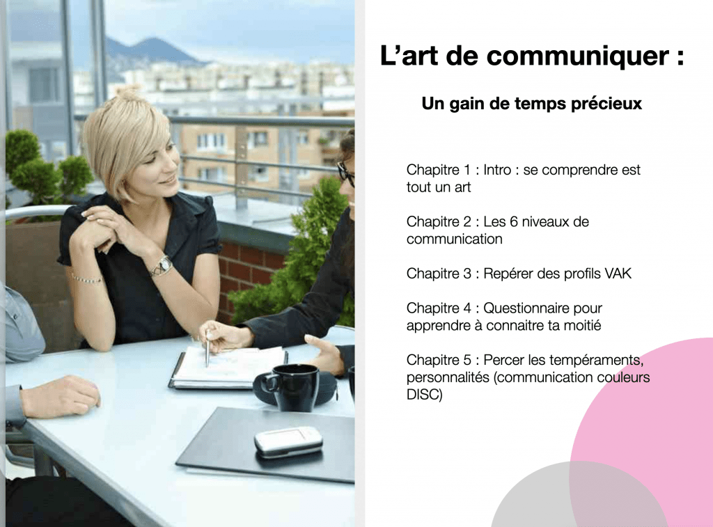 SG+ Page_vente_programme_rebelles_organisées_vidéo_2020-L'Art de communiquer - CosyCoaching